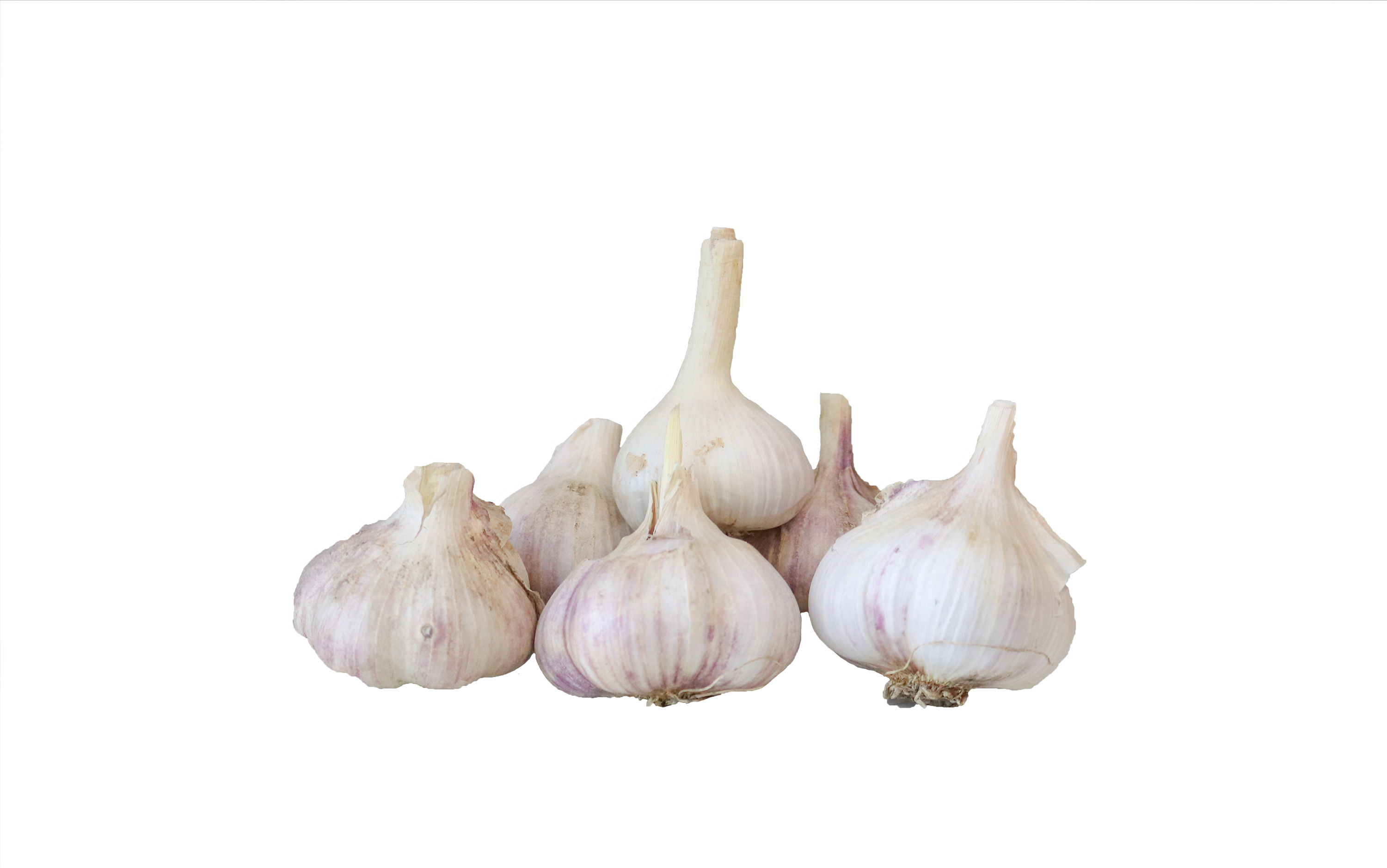 Wholesale Prairie Hill Farms Ltd Wholesale Prairie Hill Farms Ltd